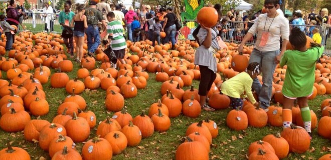 The Ultimate Fall Pittsburgh Bucket List | Pittsburgh Beautiful