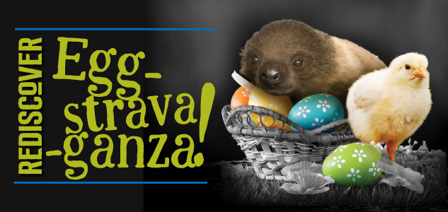 The Perfect Easter Weekend in Pittsburgh | Pittsburgh Beautiful